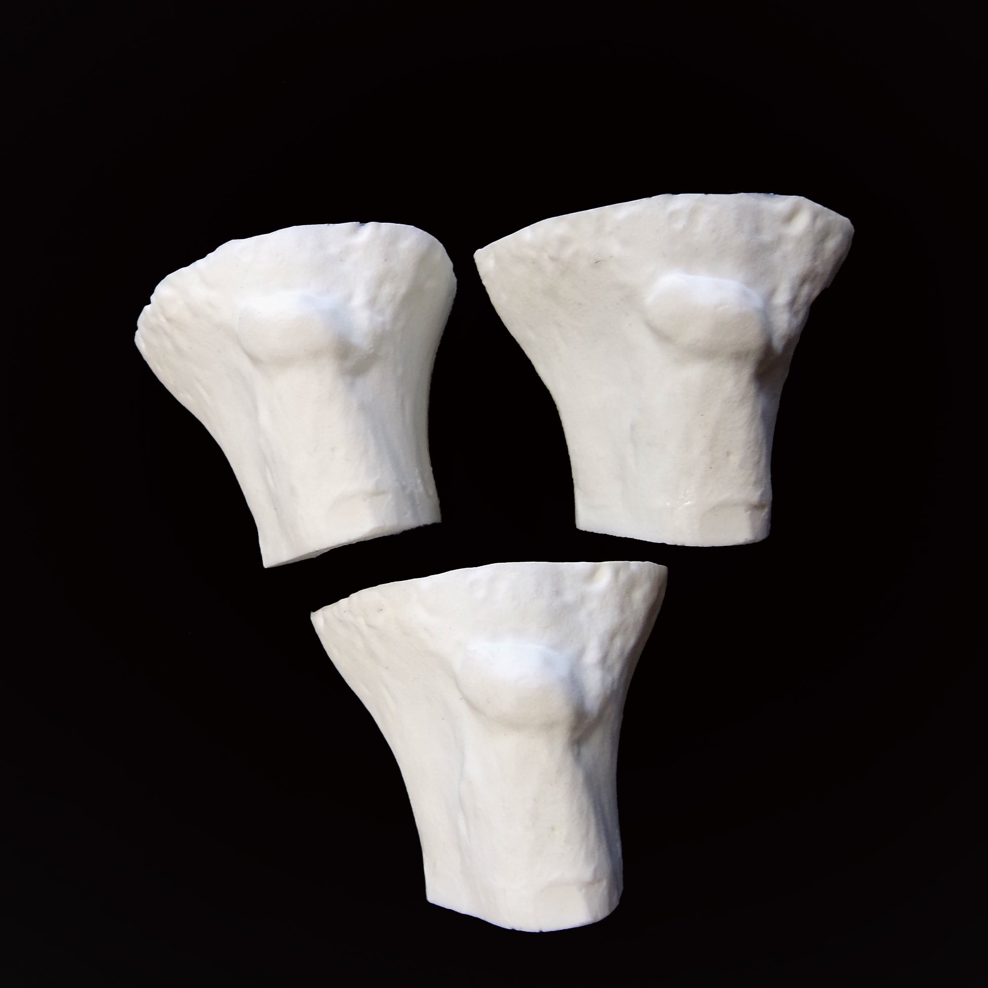 3 Replacement Bone Inserts - (Intraosseous infusion trainer) Tibial IO ...